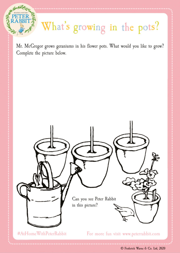 Draw your own Vegetables - Peter Rabbit USA