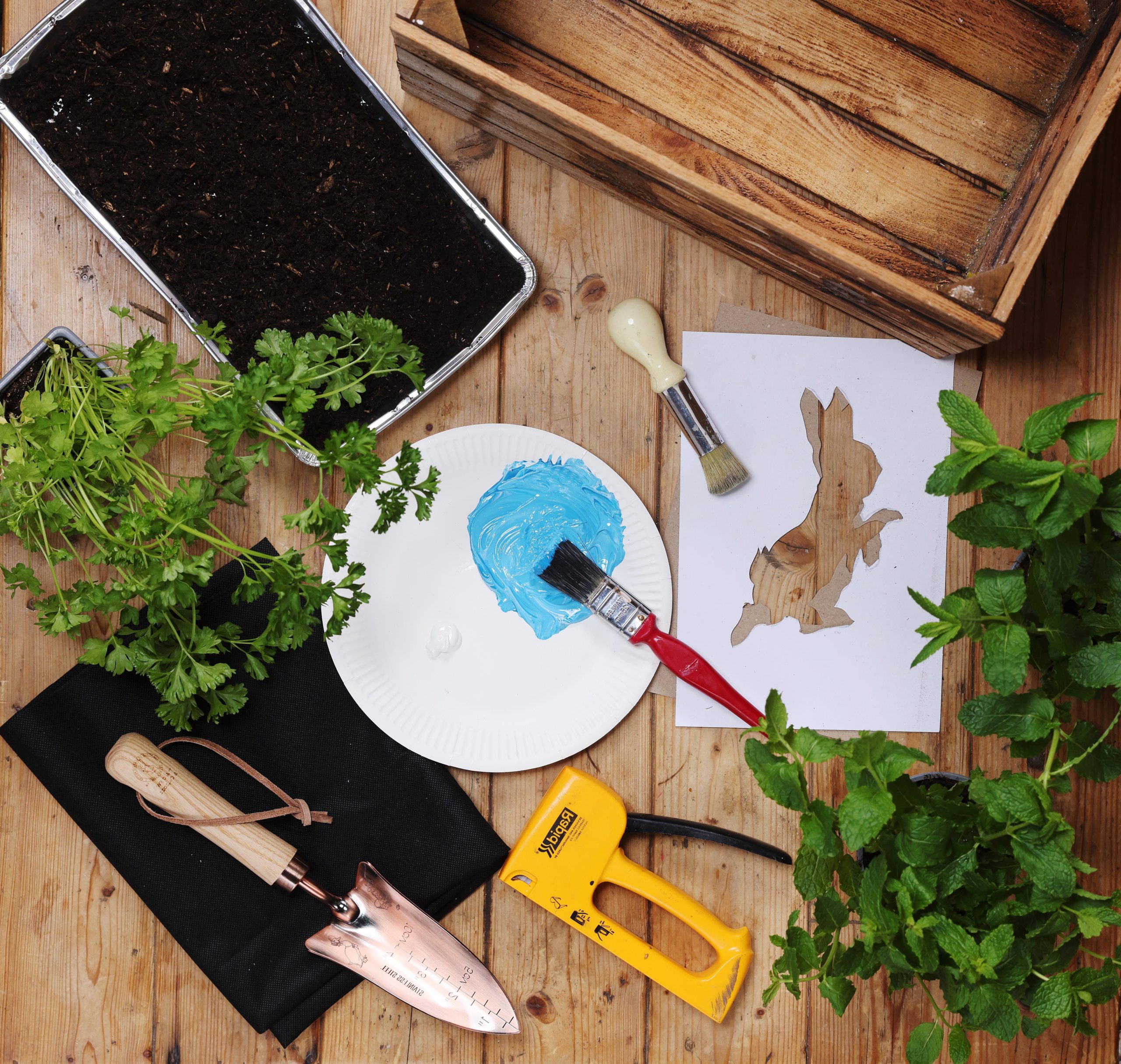 A Planter for Peter Rabbit - Peter Rabbit USA