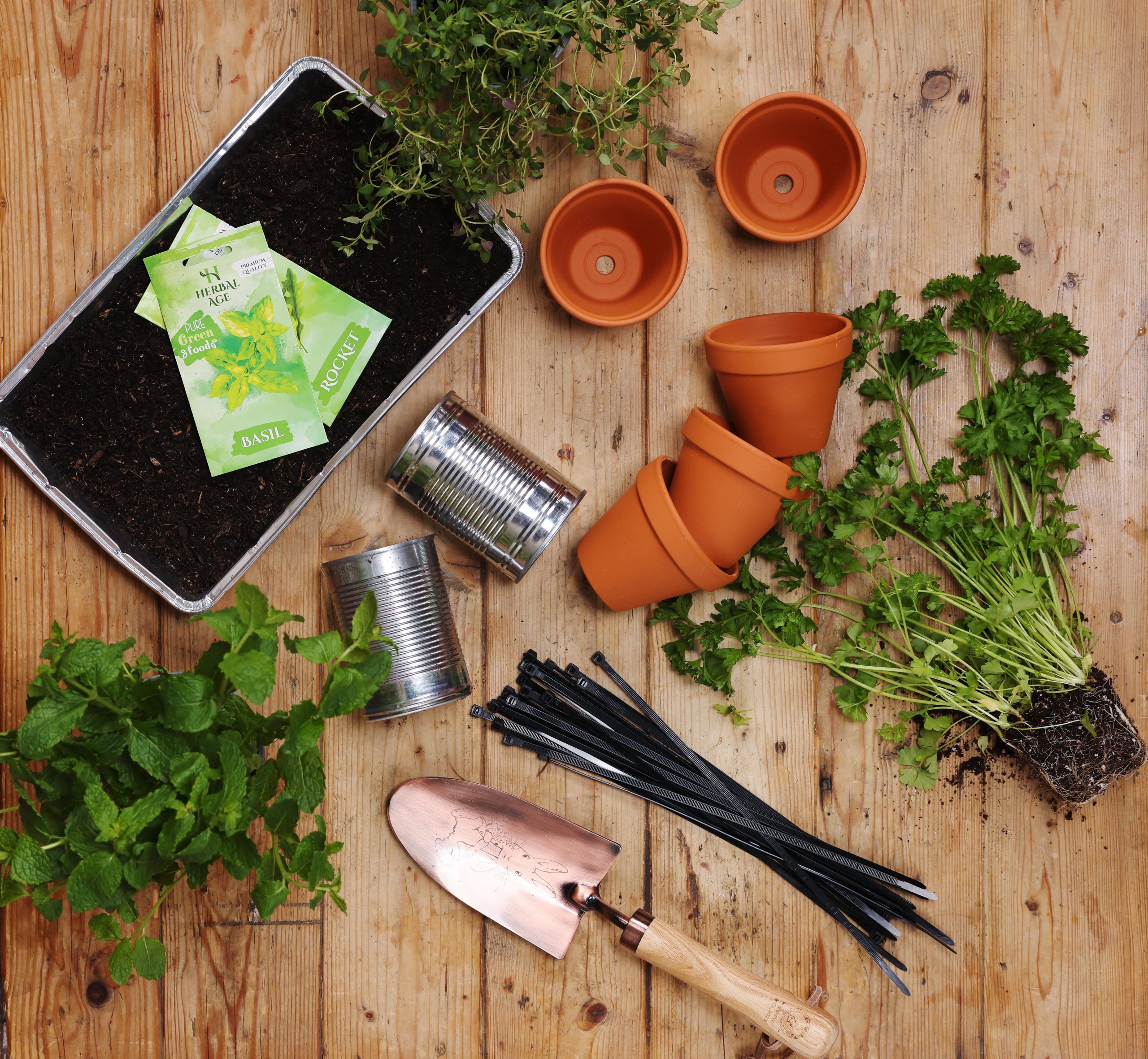 Mr. McGregor's Pots - Peter Rabbit USA